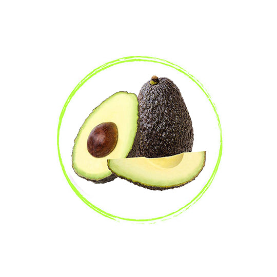Frozen Half Avocado – Greenhouse Foodstuff Trading LLC.